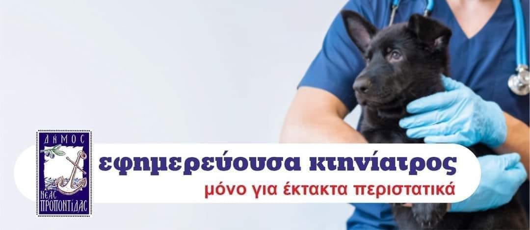 Ανακοίνωση Κτηνιάτρου που εφημερεύει στις ,5 & 6 Ιουλίου 2025 - Δήμος ...